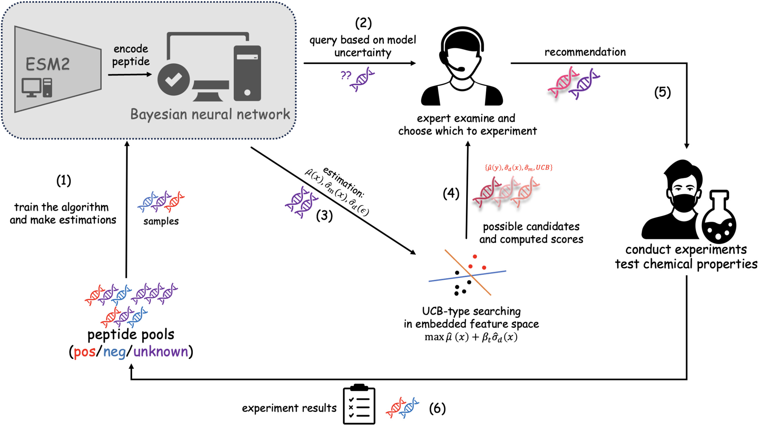 Collaborative Intelligence in Sequential Experiments: A Human-in-the ...