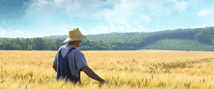 How would Google farm? | Analytics Magazine